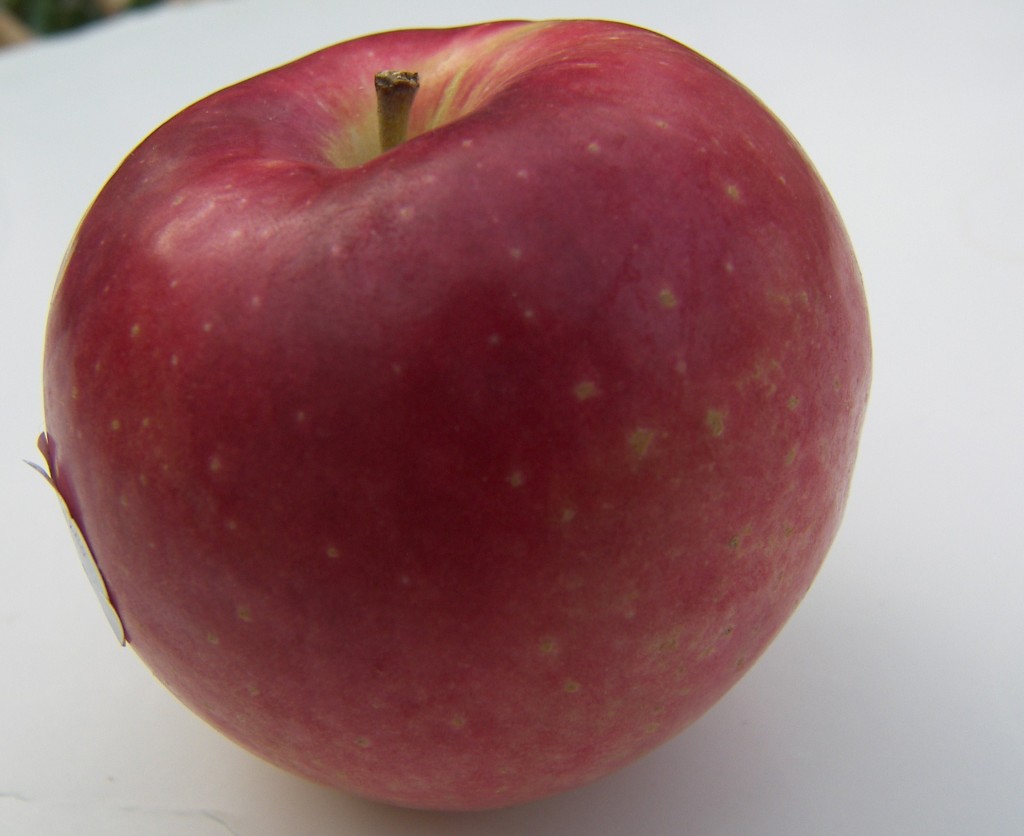 Jonamac Apple - Eat Like No One Else