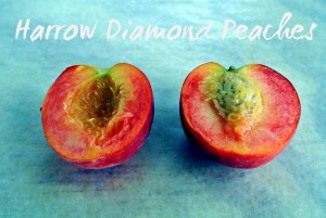 Harrow Diamond Peaches - Eat Like No One Else