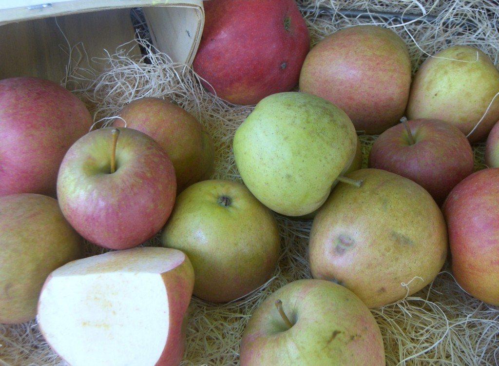 Types of Pearmain Heirloom Apples - Eat Like No One Else