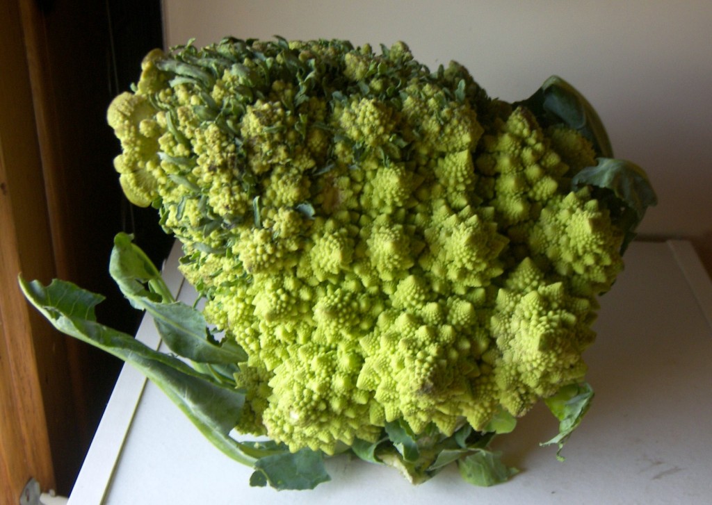 Why Roasting Romanesco is Better than Cauliflower - Eat Like No One Else