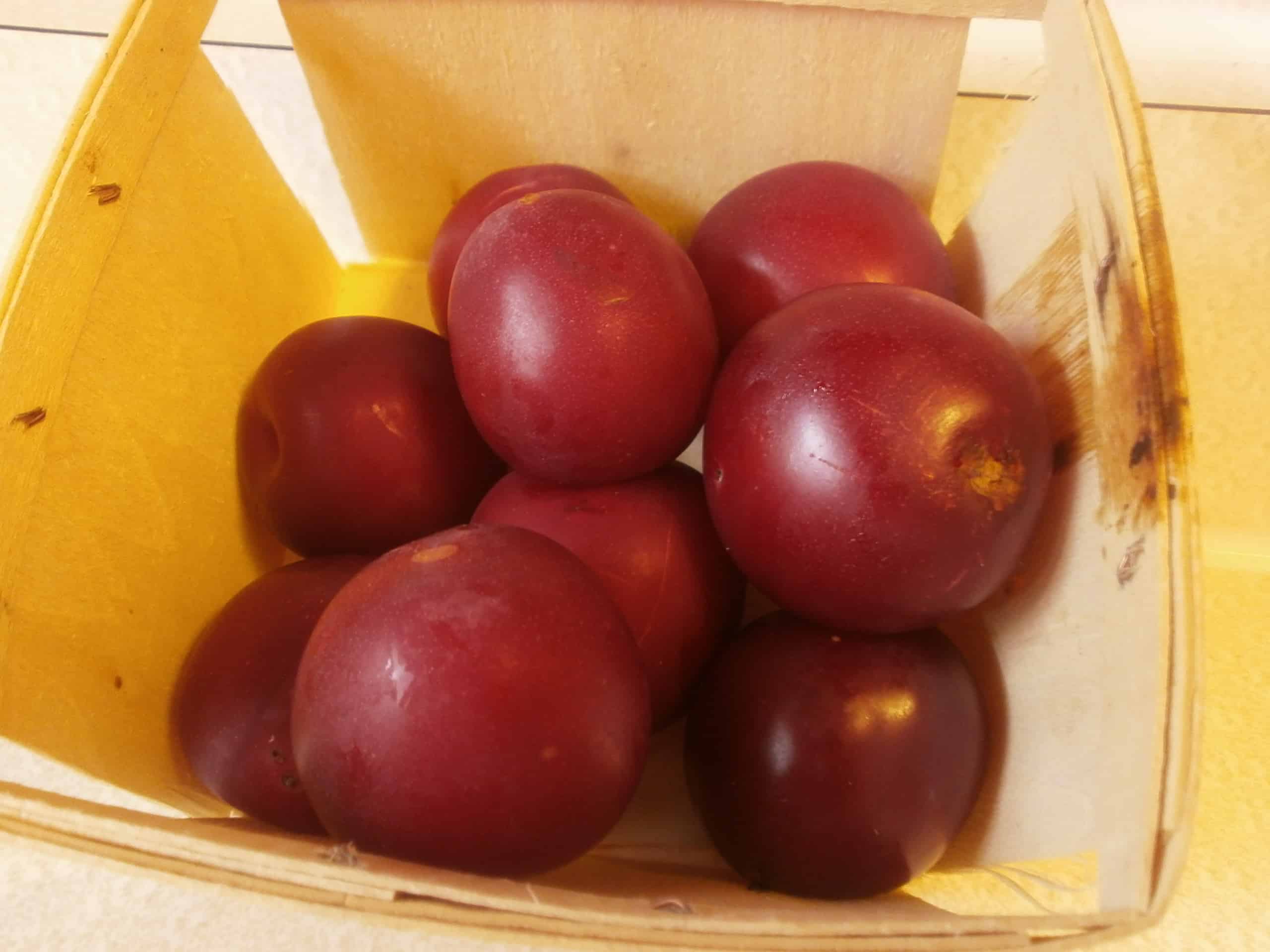 How to Know When a Plum, Pluot, or Plumcot is Ripe? - Eat Like No One Else