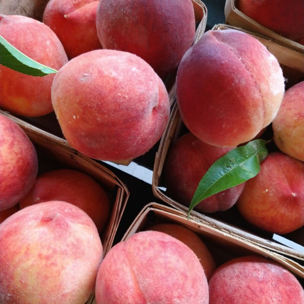 Peaches & Nectarines Varieties - Eat Like No One Else