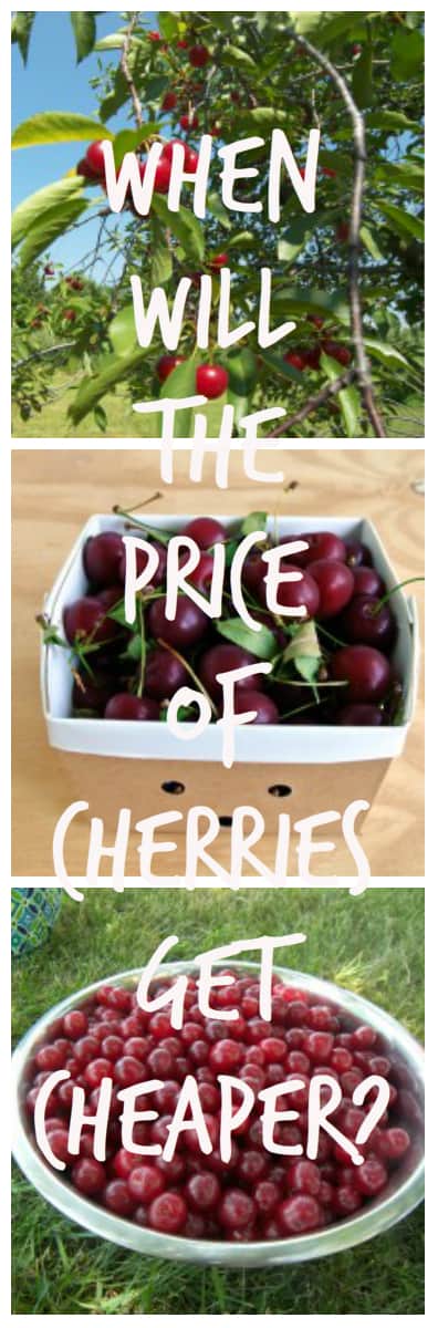 When Will The Prices of Cherries Get Cheaper? – Eat Like No One Else