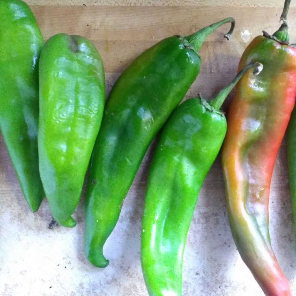 Hatch Chiles vs. Anaheim Peppers: What's the Difference? - Eat Like No ...