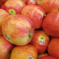 Ultimate Guide to Gala Apples: From Selection to Recipes and Beyond ...