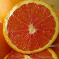 When are Cara Cara Red Navel Oranges in Season? - Eat Like No One Else