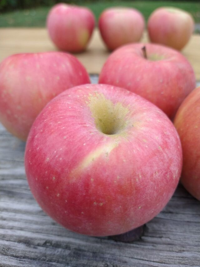 Rosalee Apples - Eat Like No One Else