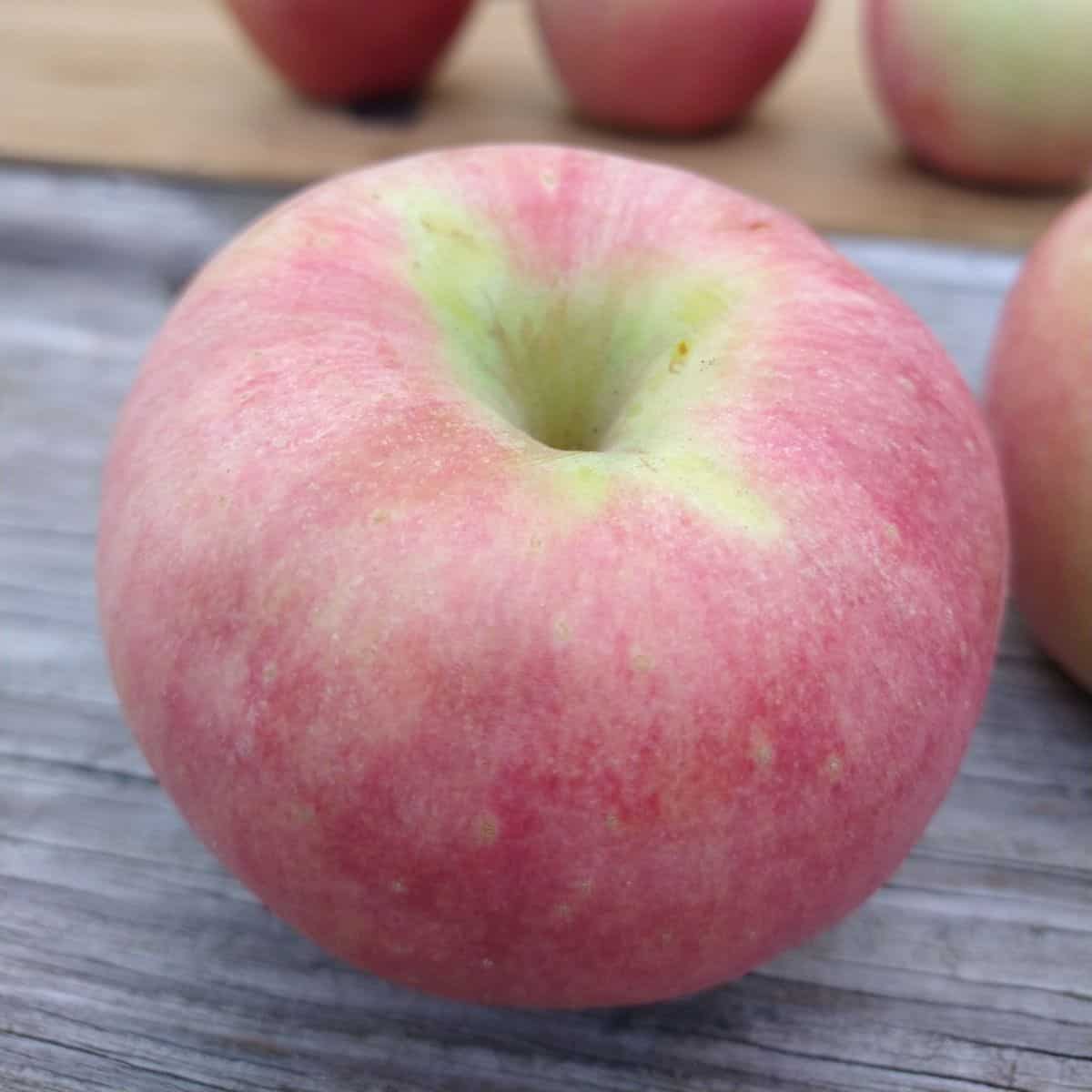 Sweet Zinger Apples - Eat Like No One Else