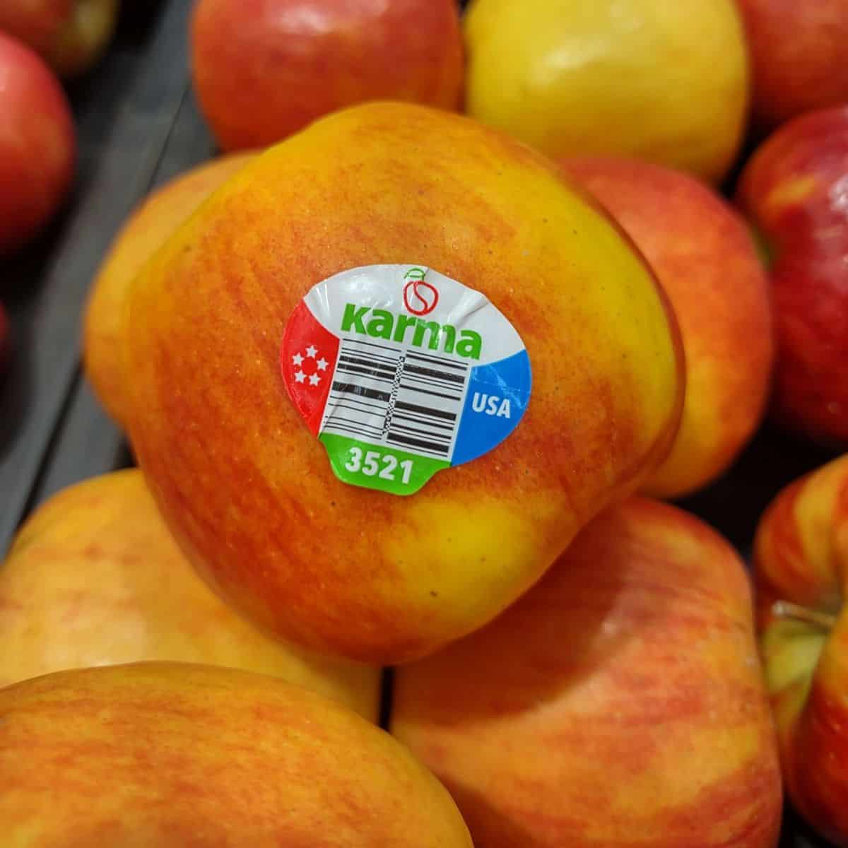 Karma Apples - Eat Like No One Else