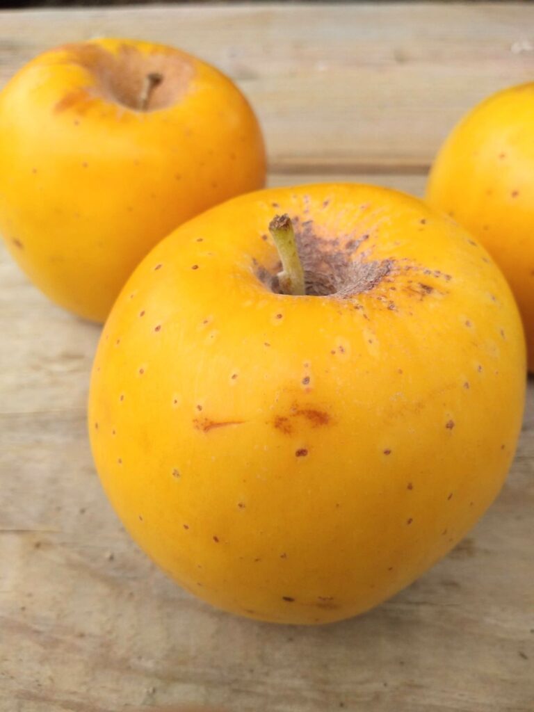 Types of Yellow Apples - Eat Like No One Else