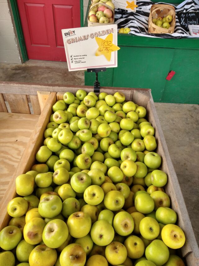 What are Grimes Golden Apples Good For? - Eat Like No One Else