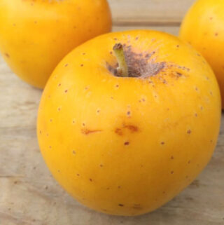26 Types of Yellow Apples - Eat Like No One Else