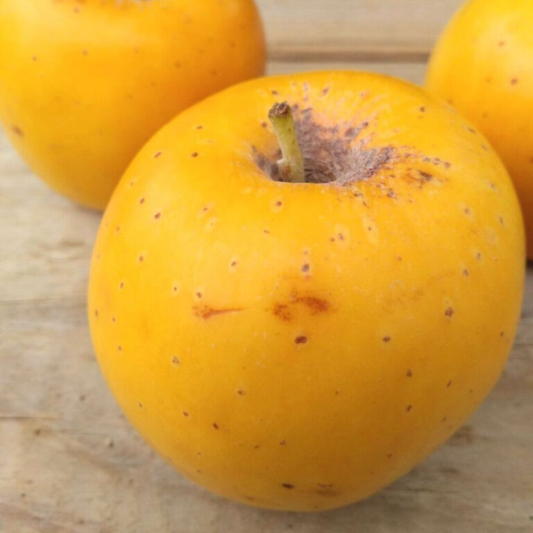 26 Types of Yellow Apples - Eat Like No One Else