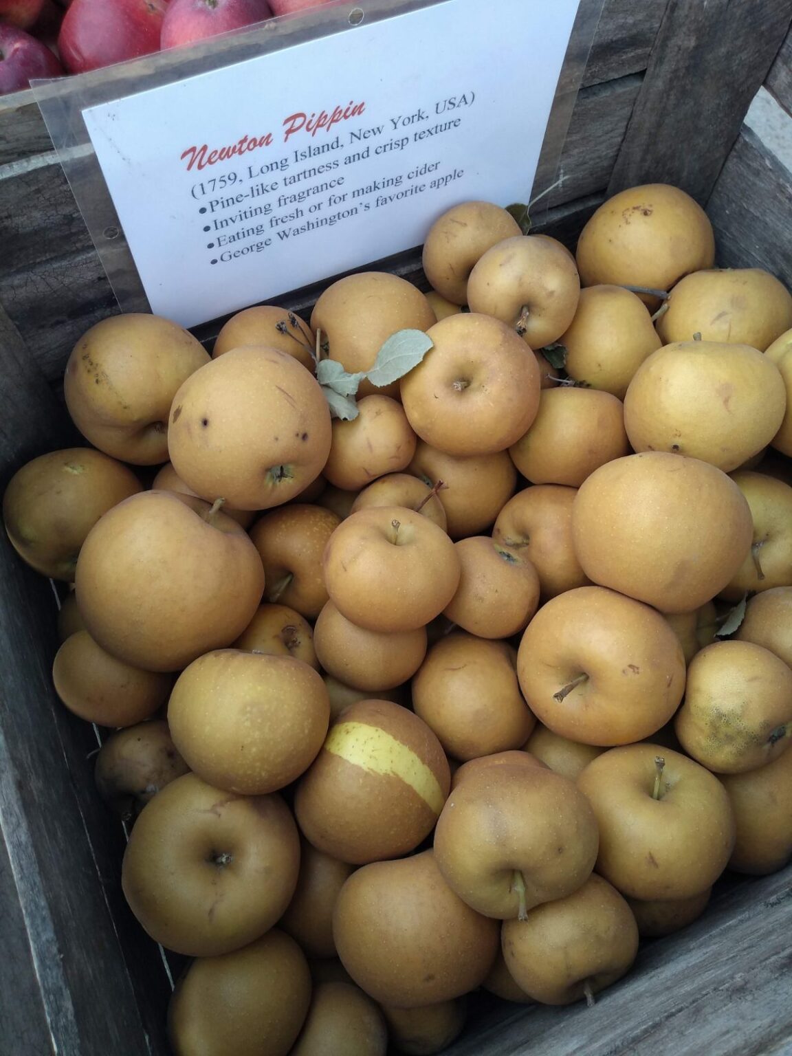 Types of Pippin Apples - Eat Like No One Else