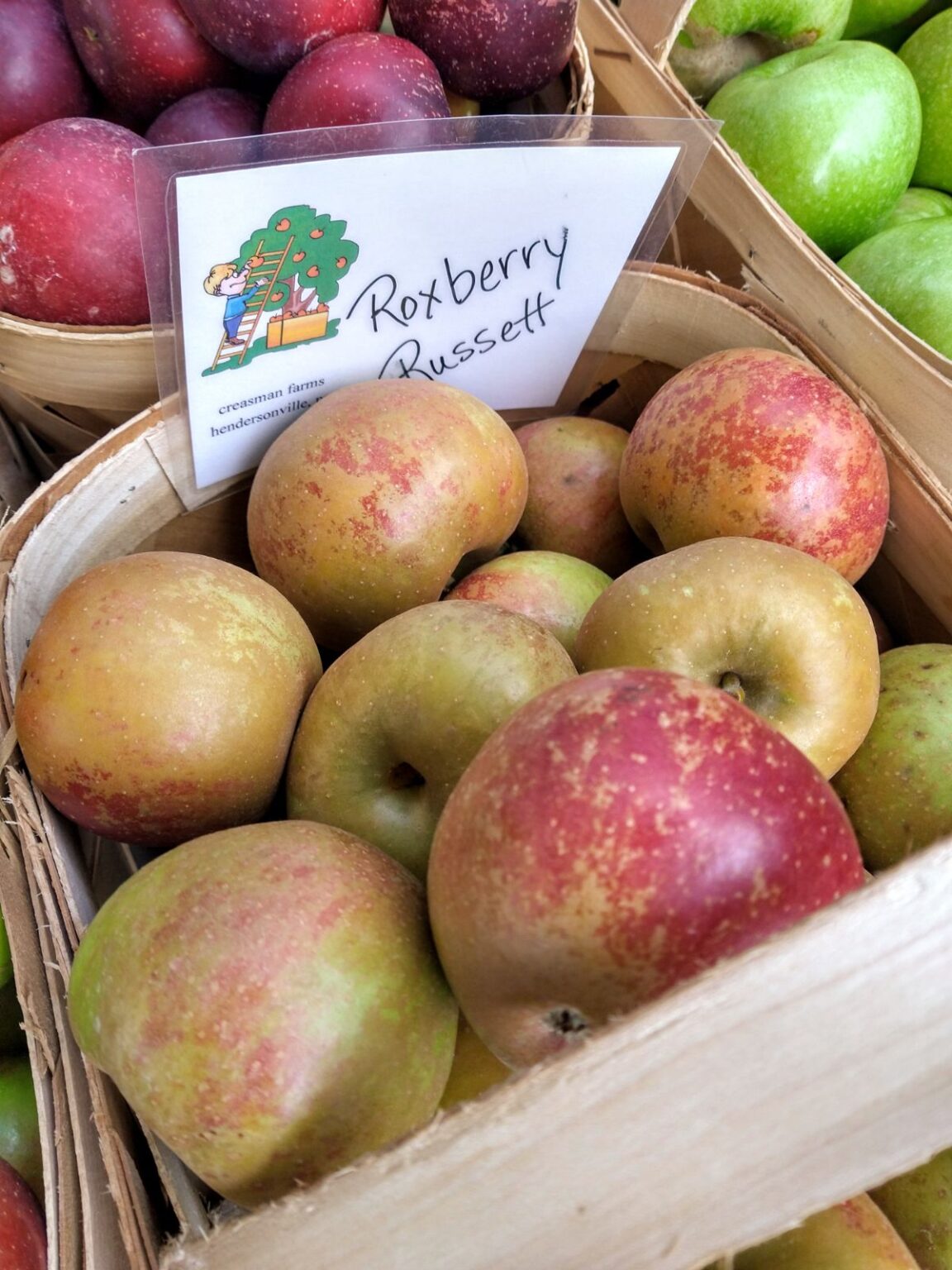 What Do Roxbury Russet Apples Taste Like? - Eat Like No One Else