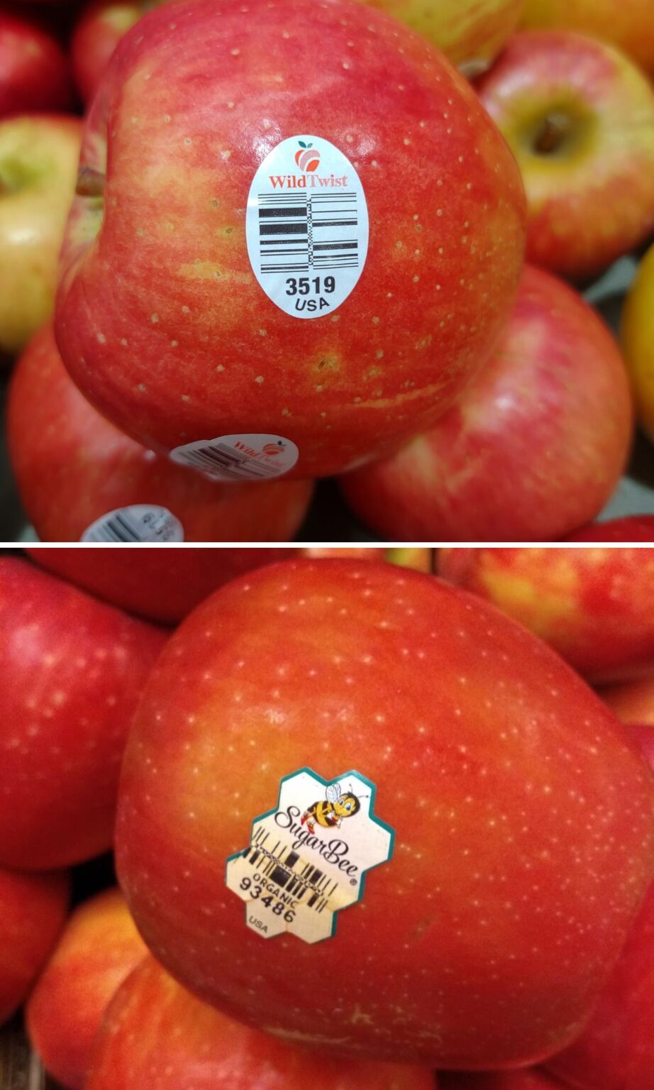 20 Apples Related to Honeycrisp Apples - Eat Like No One Else