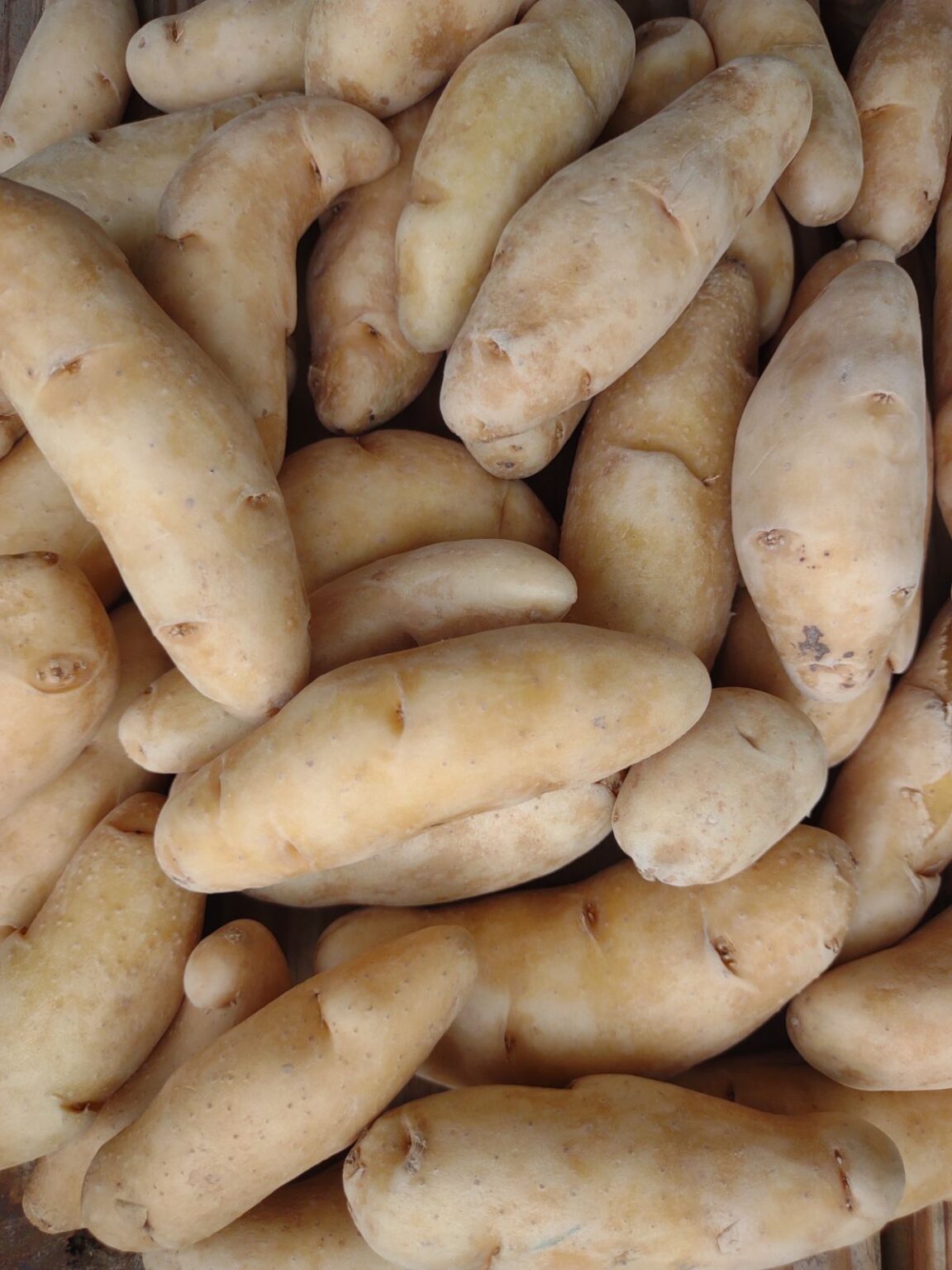 7 Perfectly Petite Fingerling Potatoes and a Recipe! - Eat Like No One Else