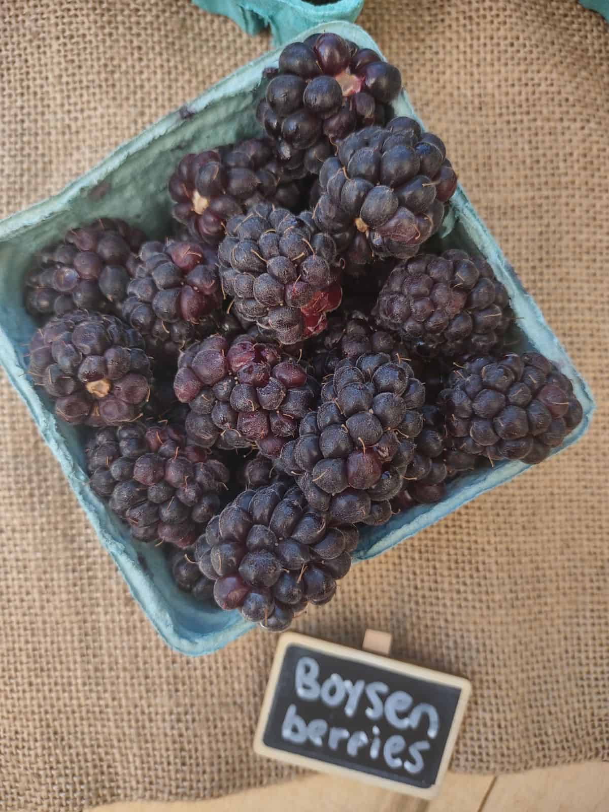 Marionberries vs Boysenberries vs Blackberries: What's the Difference ...