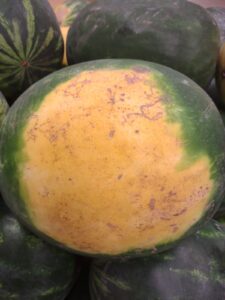 The One Thing You Need to Know to Pick Out a Watermelon - Eat Like No ...