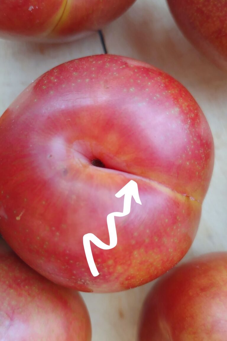 The Plum That is Part Nectarine - Dapple Fire Pluots - Eat Like No One Else