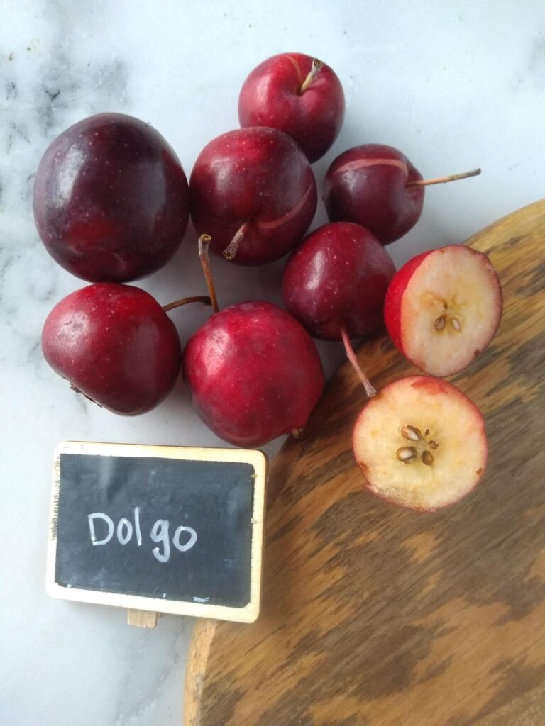 Ultimate Guide to Gala Apples: From Selection to Recipes and Beyond ...