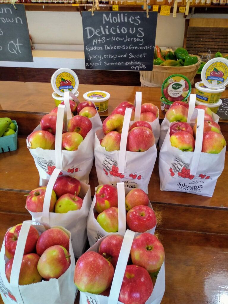 Mollie's Delicious Apples - Eat Like No One Else