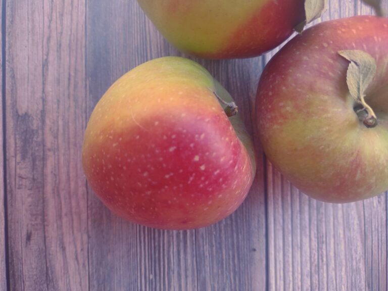 Esopus Spitzenburg - Thomas Jefferson's Favorite Apple - Eat Like No ...