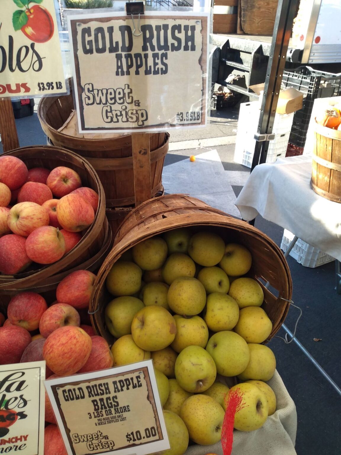 Gold Rush Apples - Eat Like No One Else