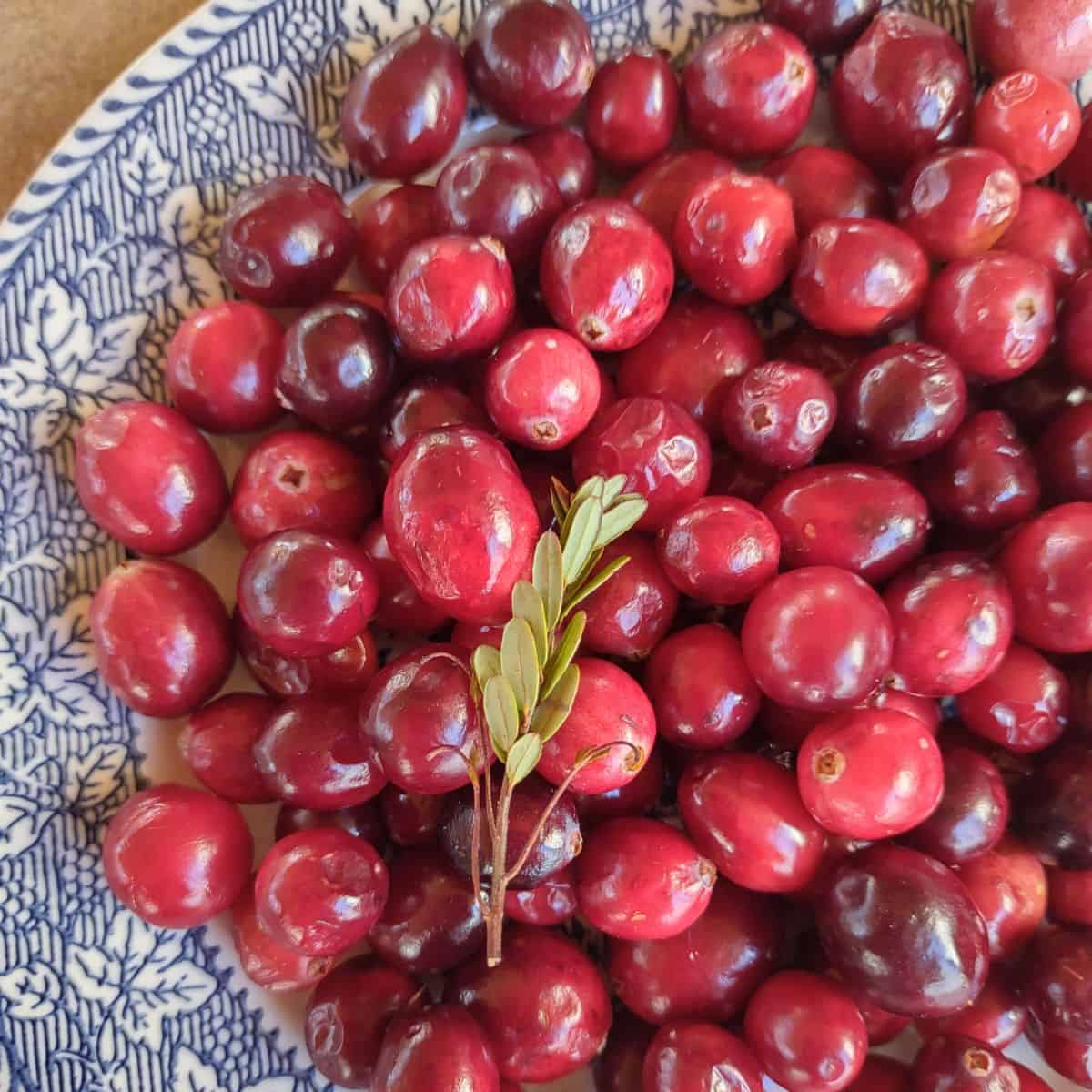 How to Tell if Cranberries are Bad? - Eat Like No One Else