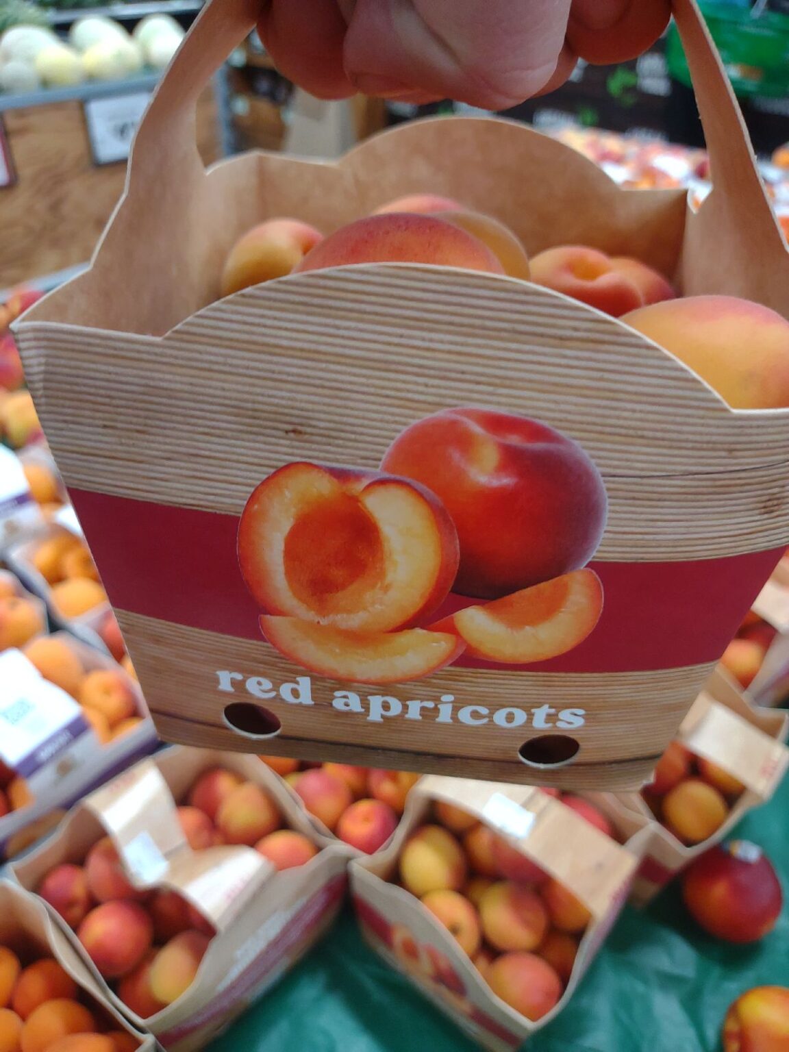 When Are Apricots in Season by State - Eat Like No One Else